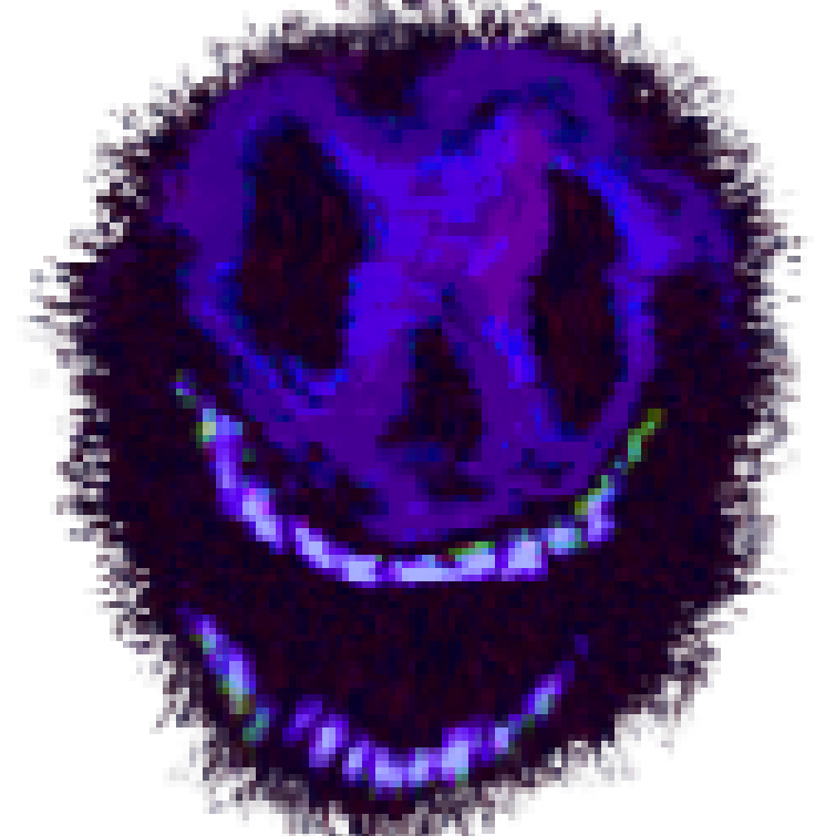 Blitz but purple (really bad) | Fandom