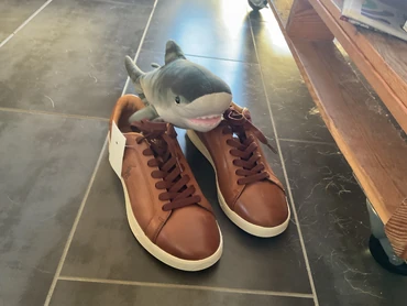 Best lms ost | Fandom