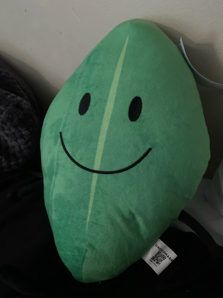 GUYS I HAVE THE LEAFY PLUSH!!!??? | Fandom