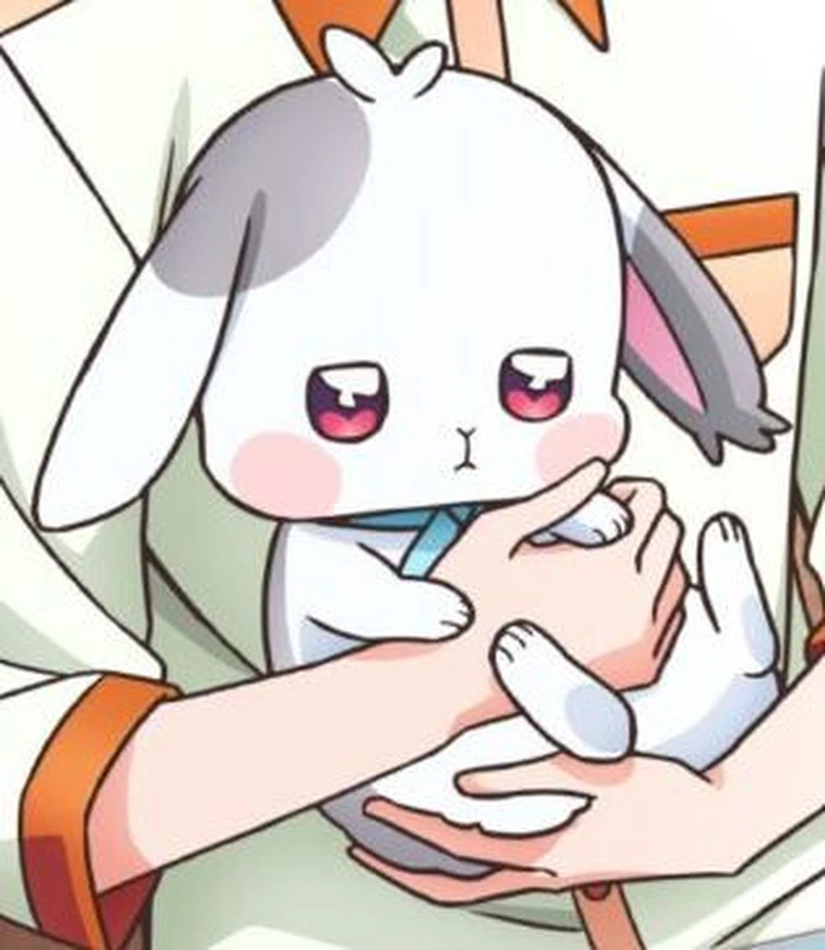 A pet rabbit named Daifuku appears in Wonderful Precure. So let me ...