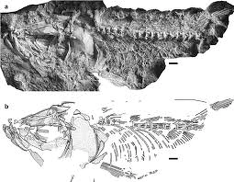 Discuss Everything About Dinopedia | Fandom