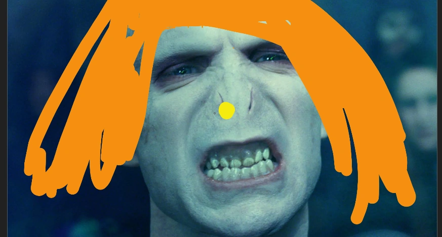 This is Voldemort With Hair | Fandom