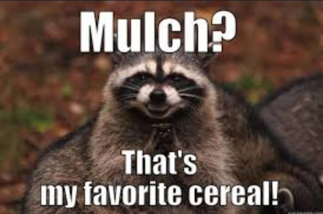 I ️ eating mulch | Fandom