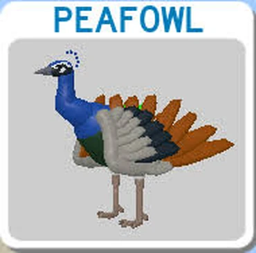 Discuss Everything About Feather Family Wiki | Fandom