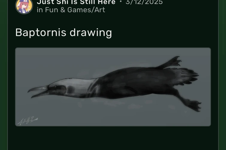 Baptornis drawing | Fandom