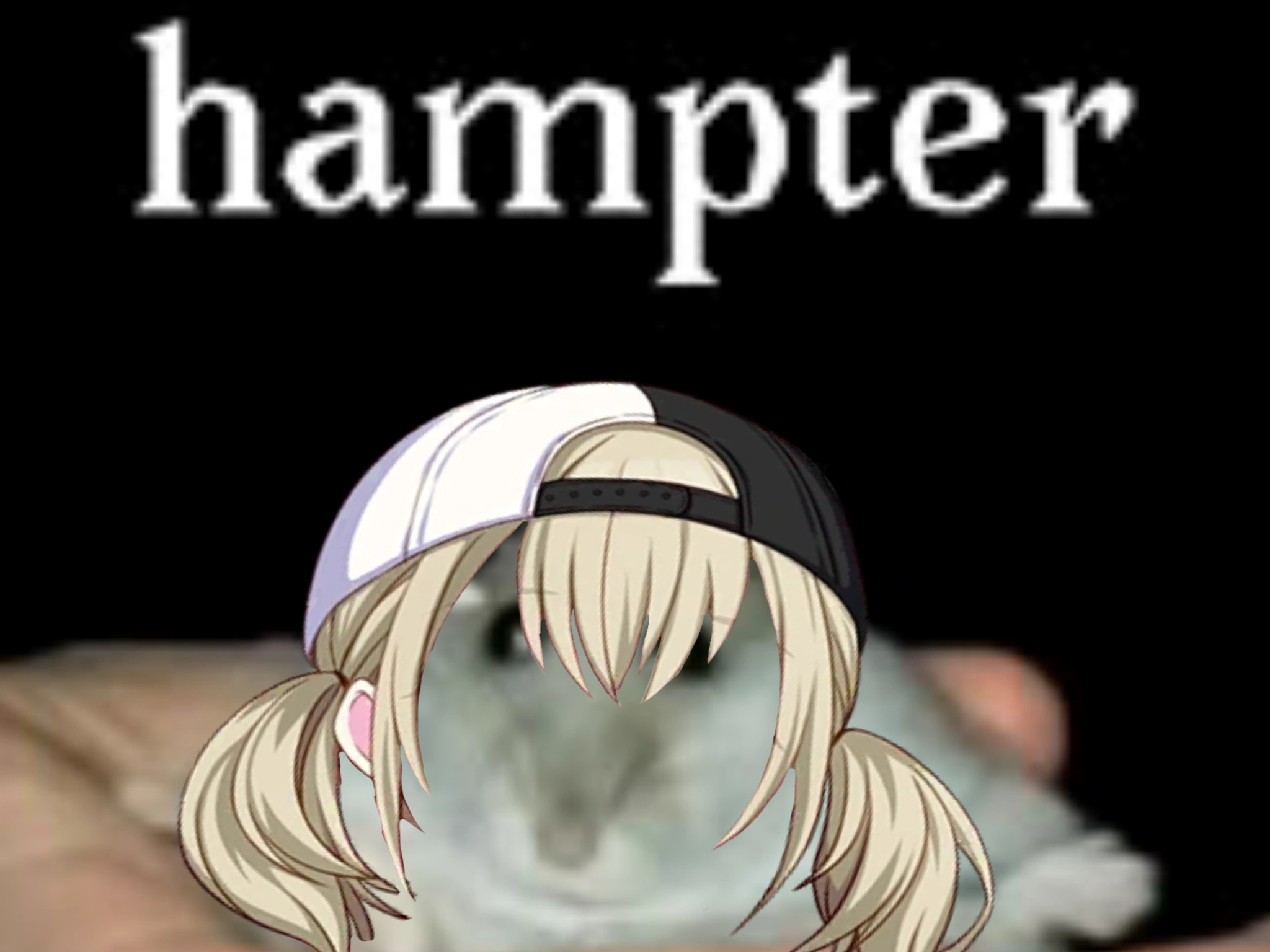 Kohane Hampter | Fandom