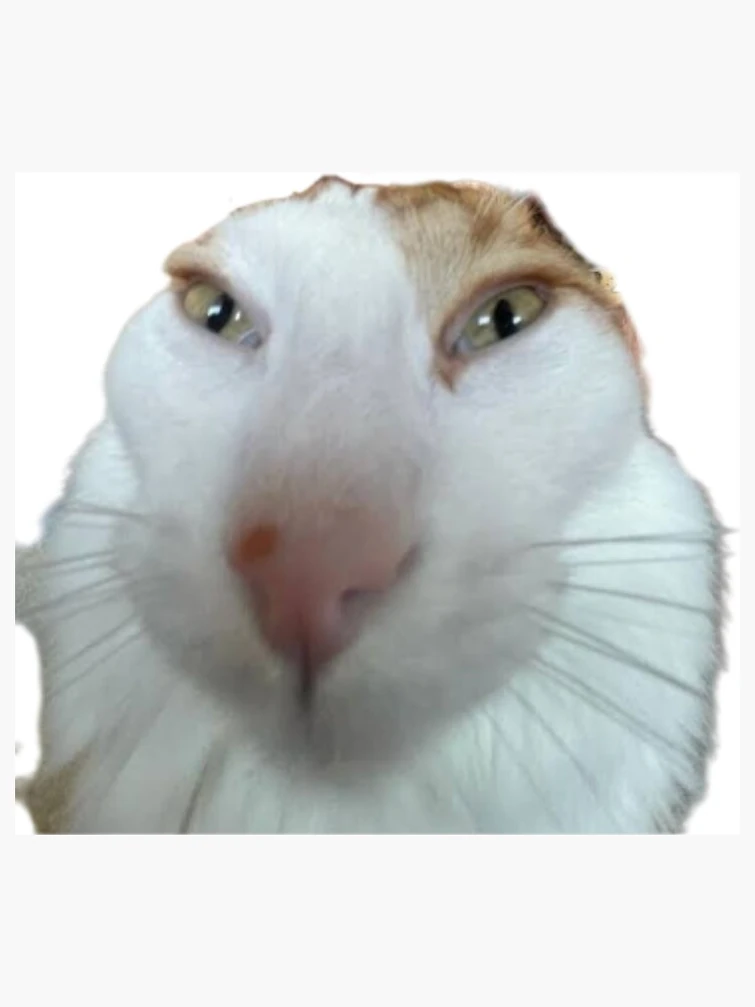 does the roblox version of this game still exist | Fandom