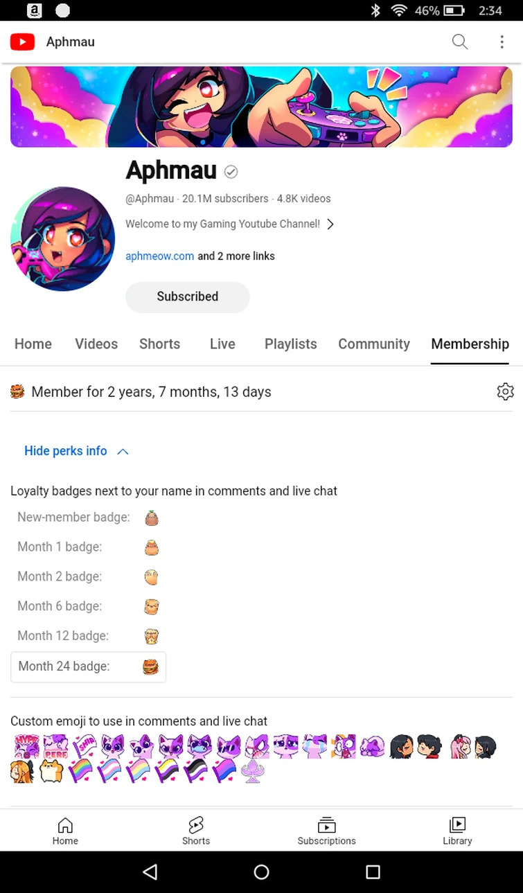 Has anyone ever been a channel Member on Aphmau YouTube channel ? | Fandom