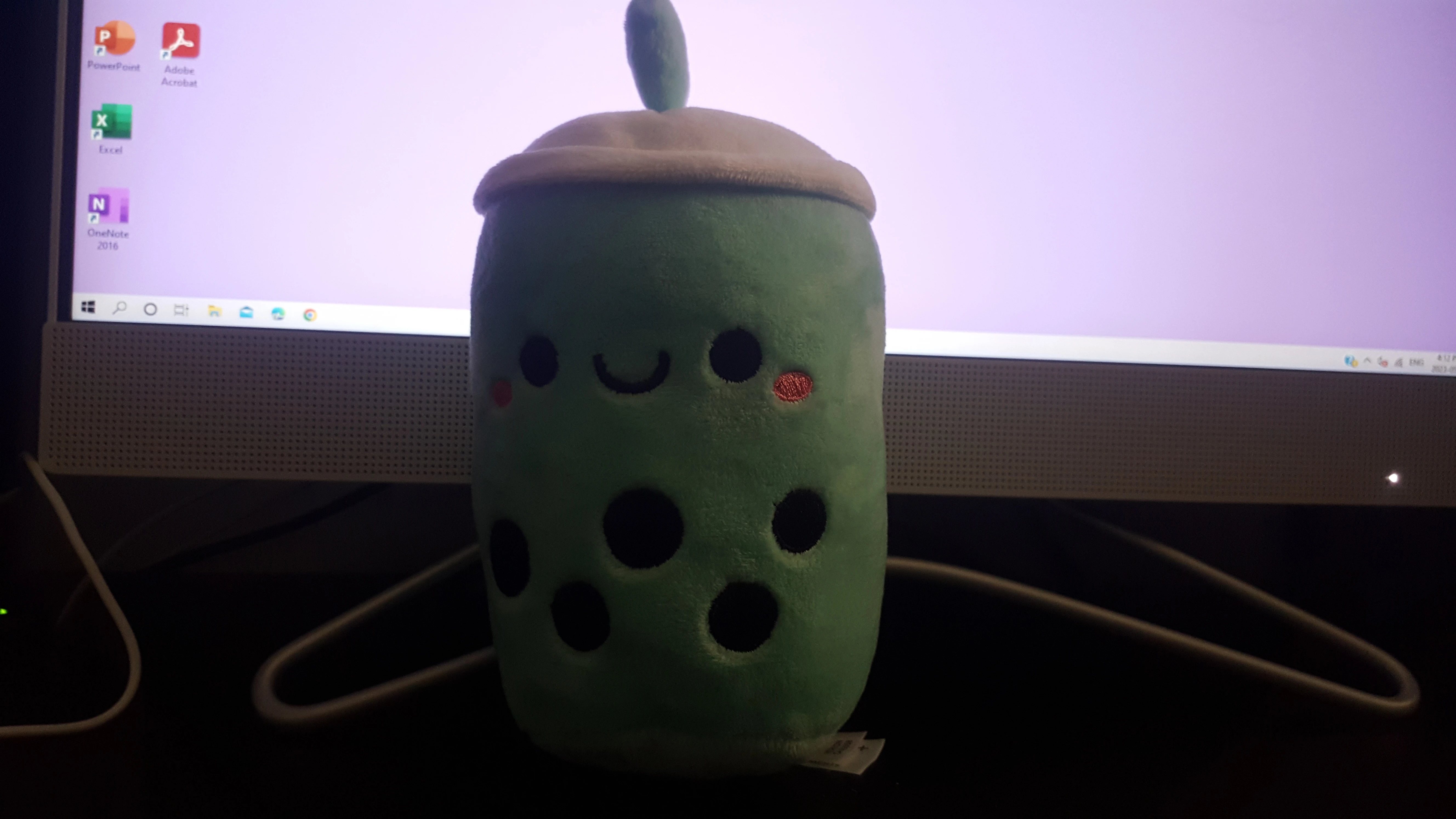 MY STUFFY I GOT WHEN I WAS ON MY TRIP | Fandom