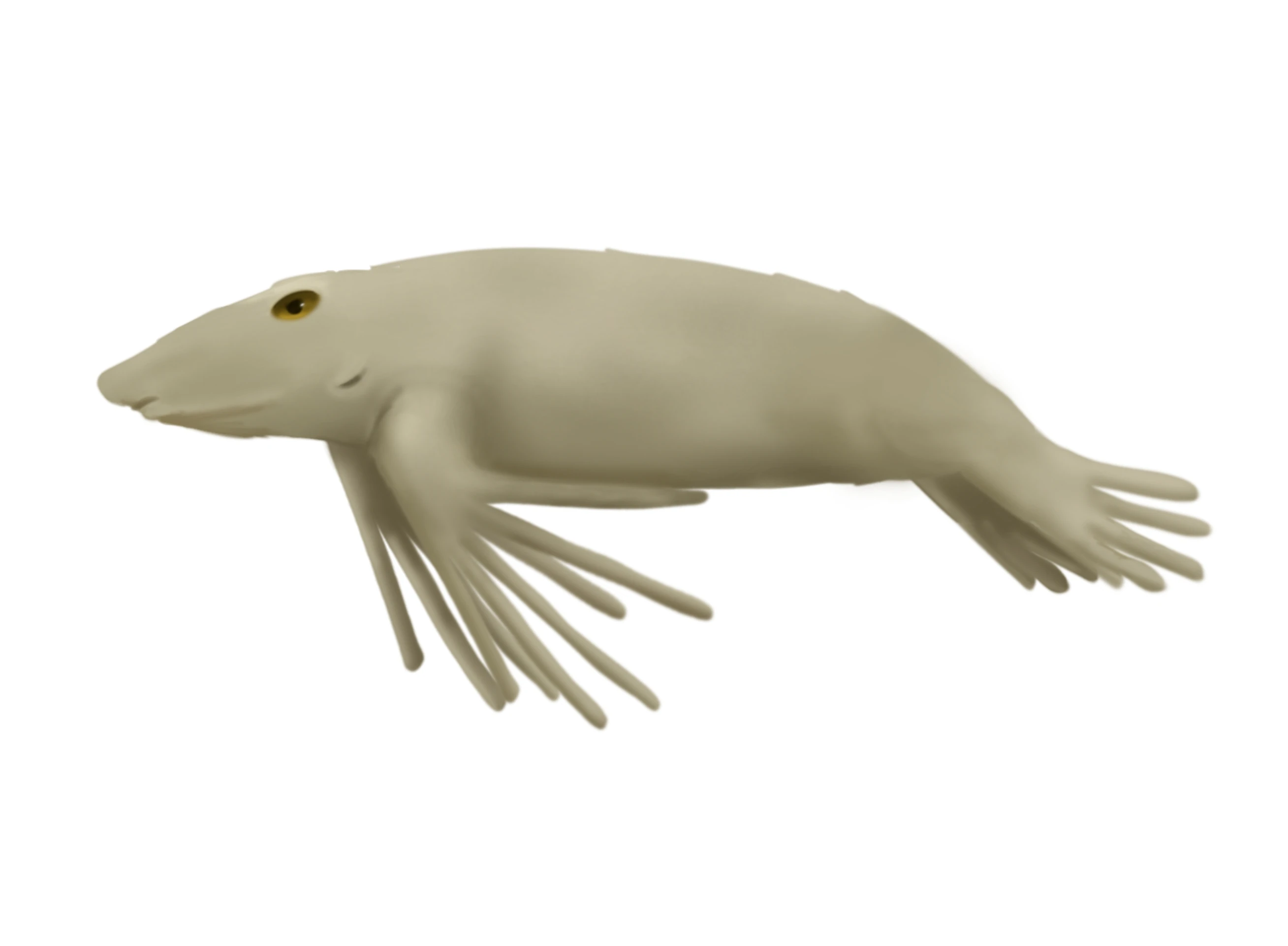 homunculus, nothing more | Fandom