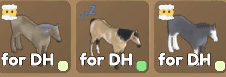 Discuss Everything About Wild Horse Islands Wiki | Fandom