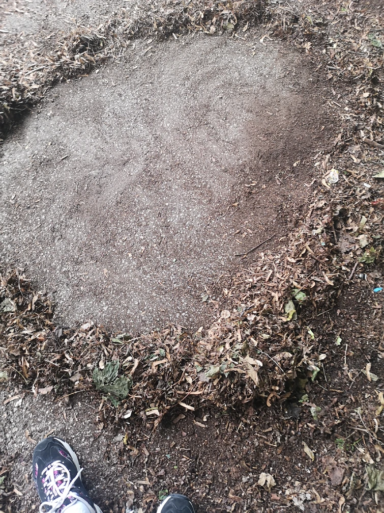 ABBISTS UNITE | Fandom