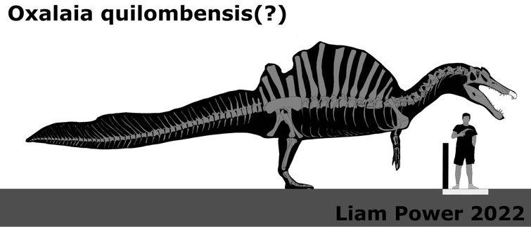 Discuss Everything About Dinopedia | Fandom