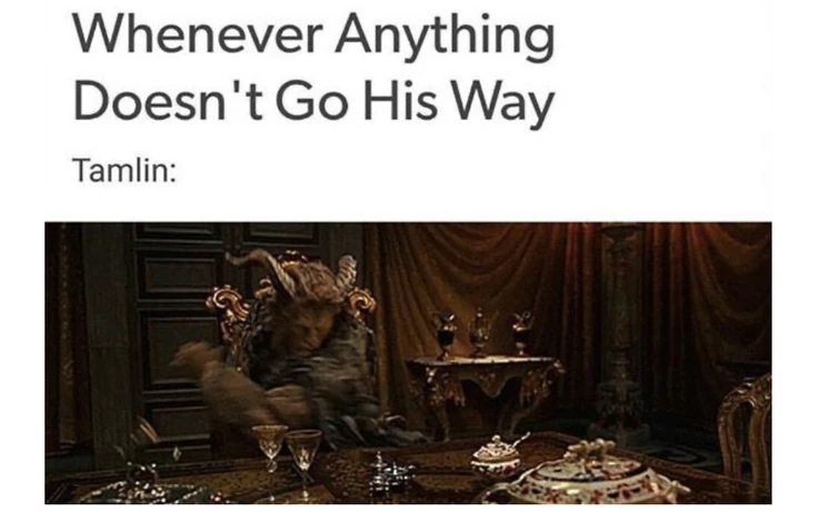 Tamlin the Tool memes | Fandom