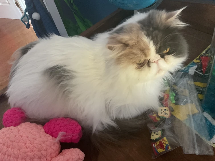 Another loaf | Fandom