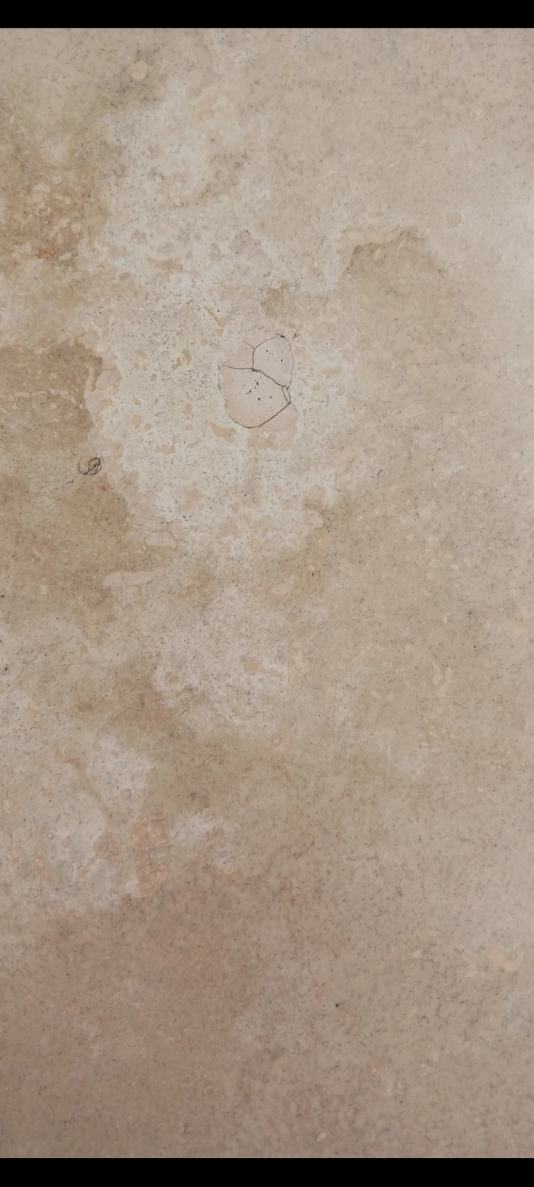 What should I do about tiles on the floor looking like Kiki? | Fandom