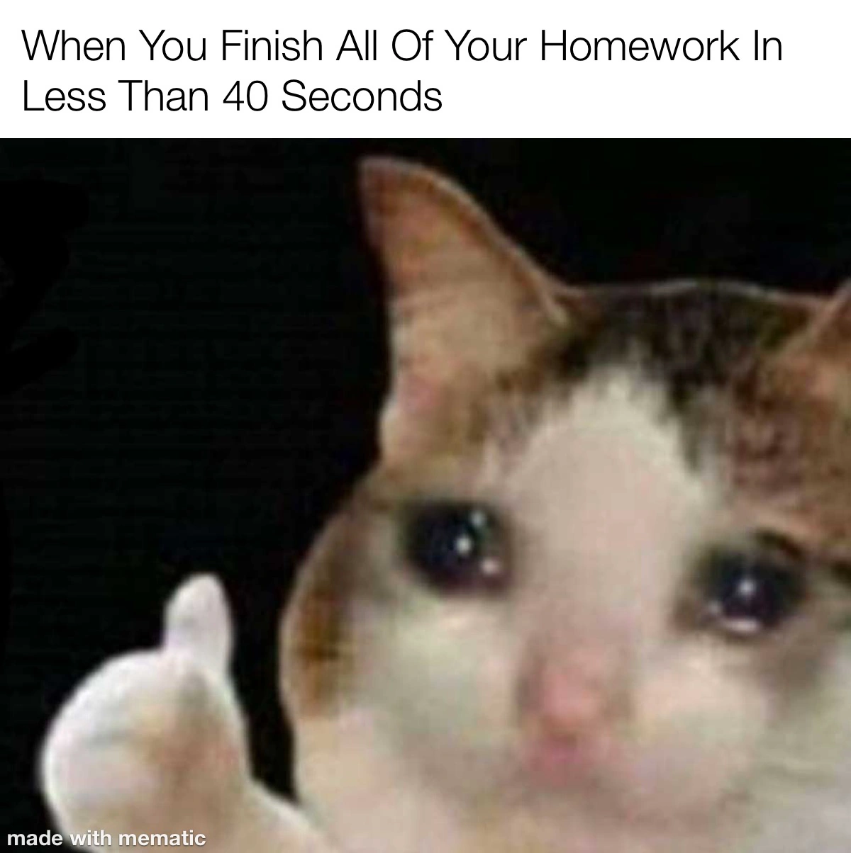 My First Mematic Meme | Fandom