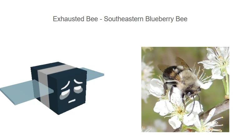 BSS Bees and their irl counterparts! Epics :) | Fandom