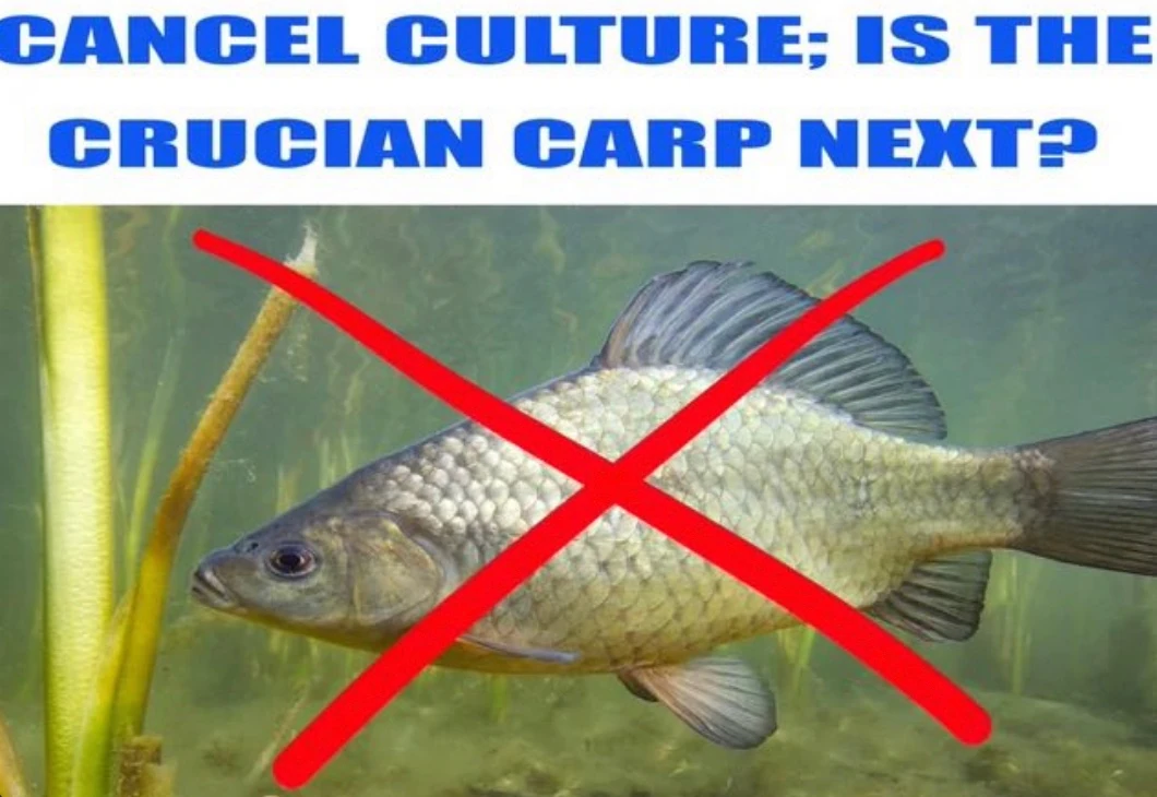 weekly off-topic thread #34 (4/4 - 4/11) | Fandom