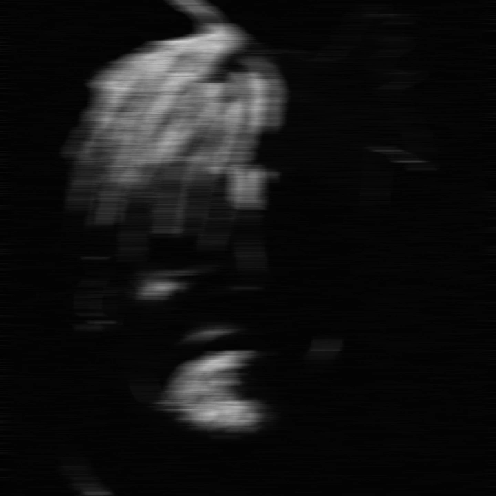 Kinda joke phase | Fandom