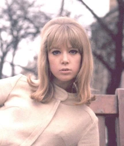 PATTIE BOYD | 60s artist Wiki | Fandom