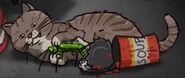 Cats | 60 Seconds! Wiki | Fandom