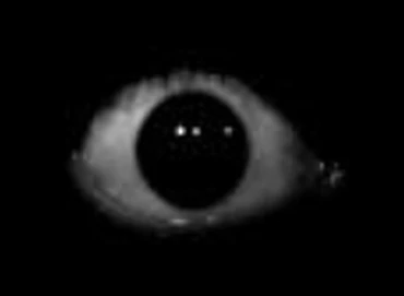 which bob eye is the best? | Fandom