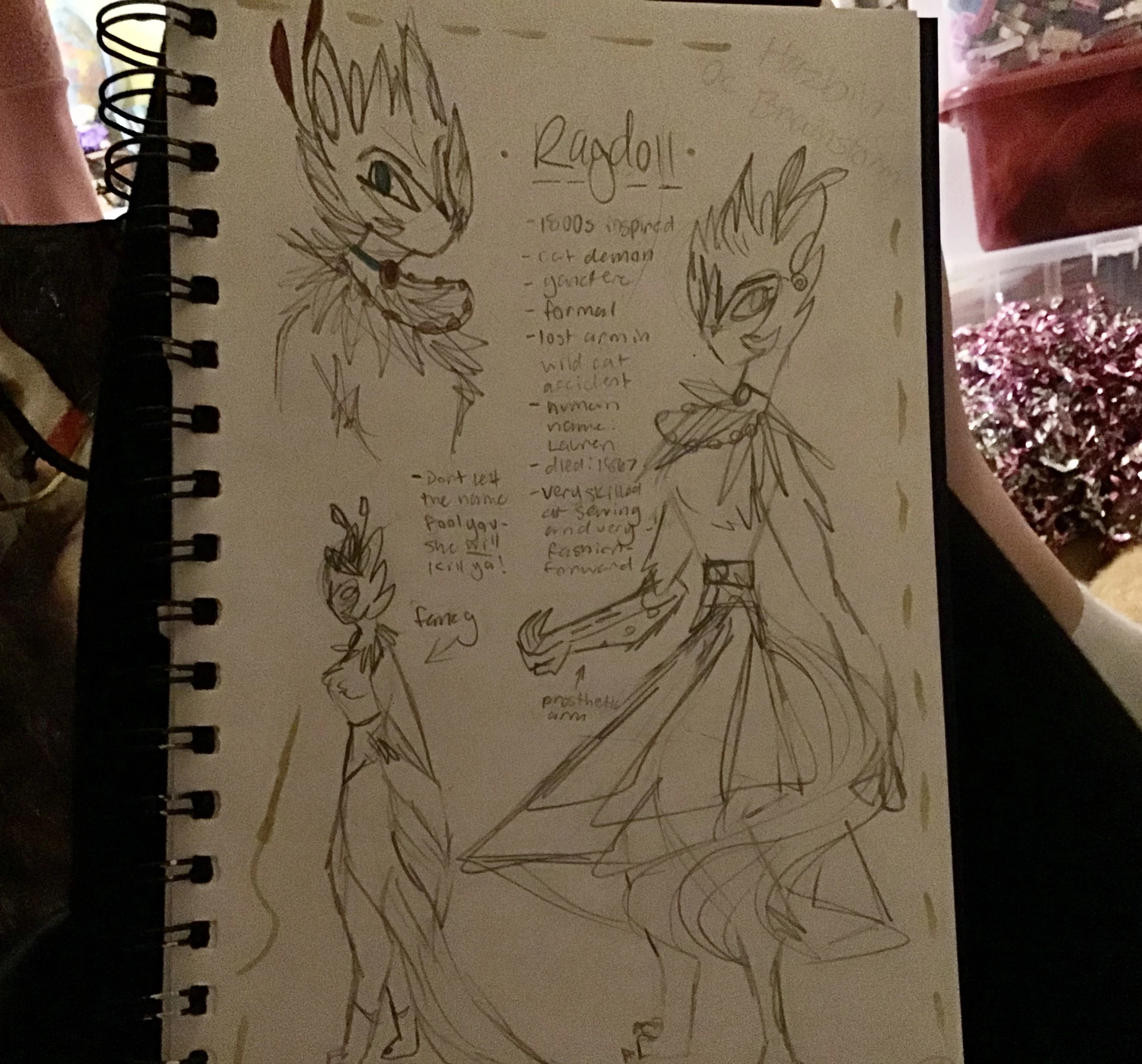 New OC! Ragdoll | Fandom