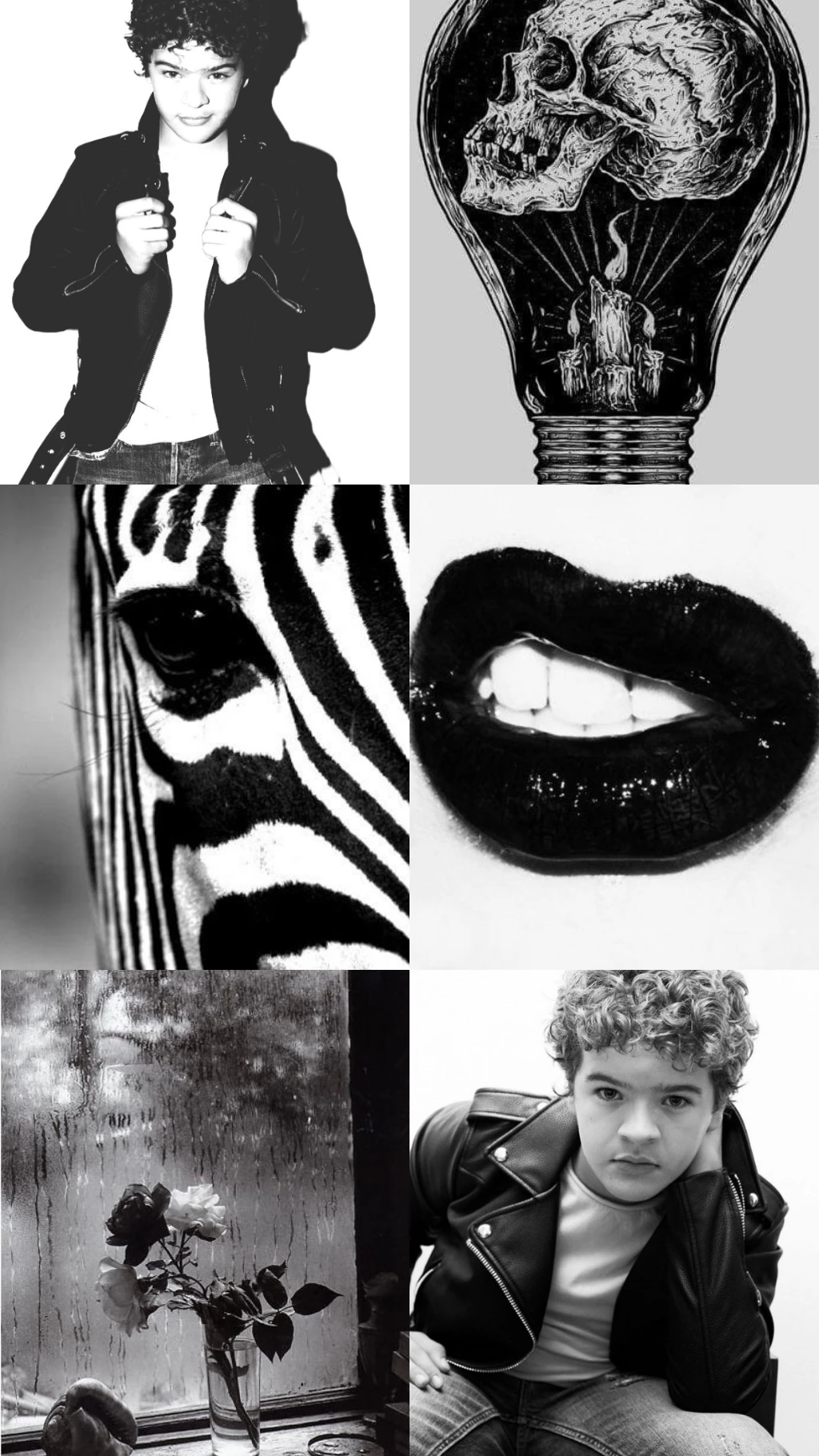 COLLAGE GATEN💥 | Fandom