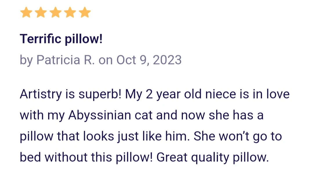 This was a review on an airy hfjone throw pillow | Fandom