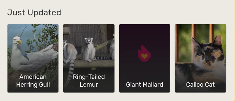 Discuss Everything About Animal Database | Fandom