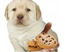 Who's your favorite teacher? | Fandom