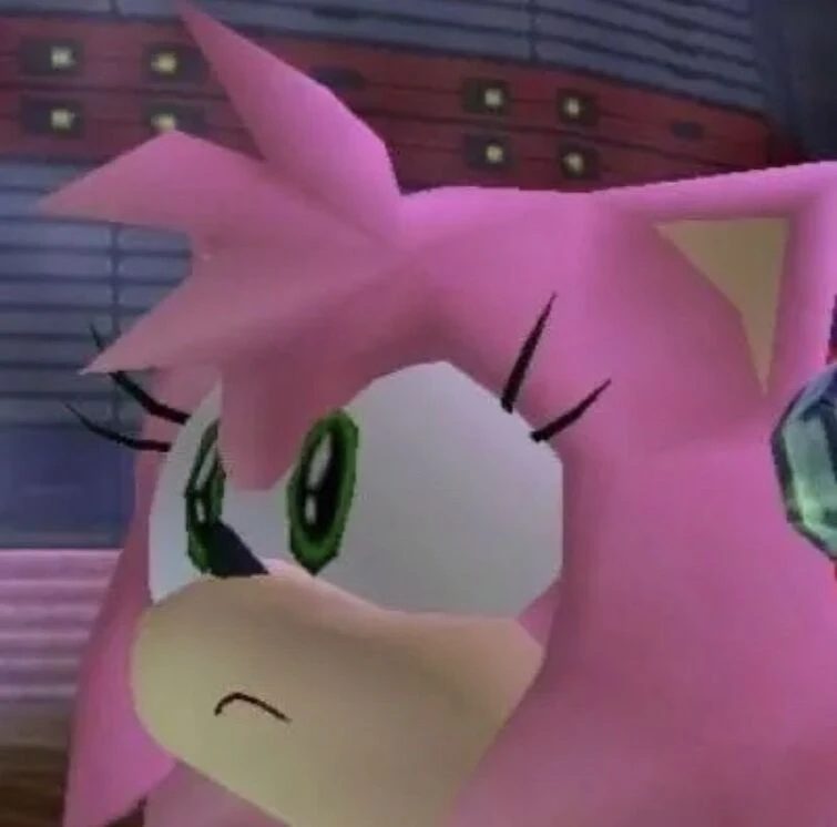 For all the faults in the SA1 models, you gotta admit | Fandom