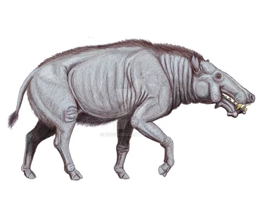 Discuss Everything About Dinopedia | Fandom