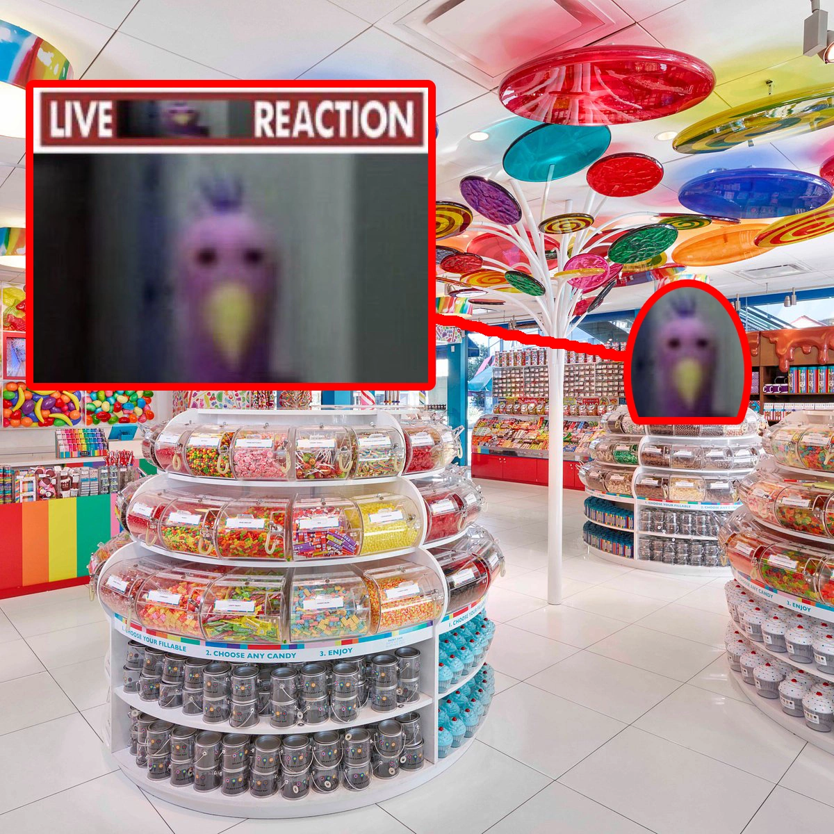 HORRIFYING SPOTTING #12 | Fandom