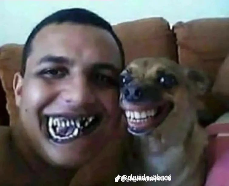 Shitpost day 6 | Fandom