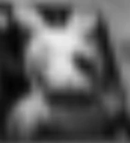 I can't tell if the Season 8 Reward is Bunny or a new version of ...