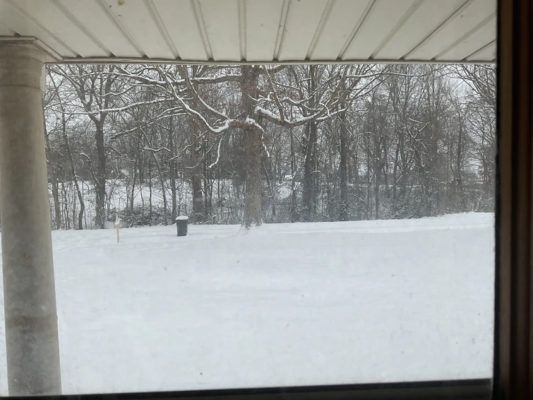 Ok, made my final decision | Fandom