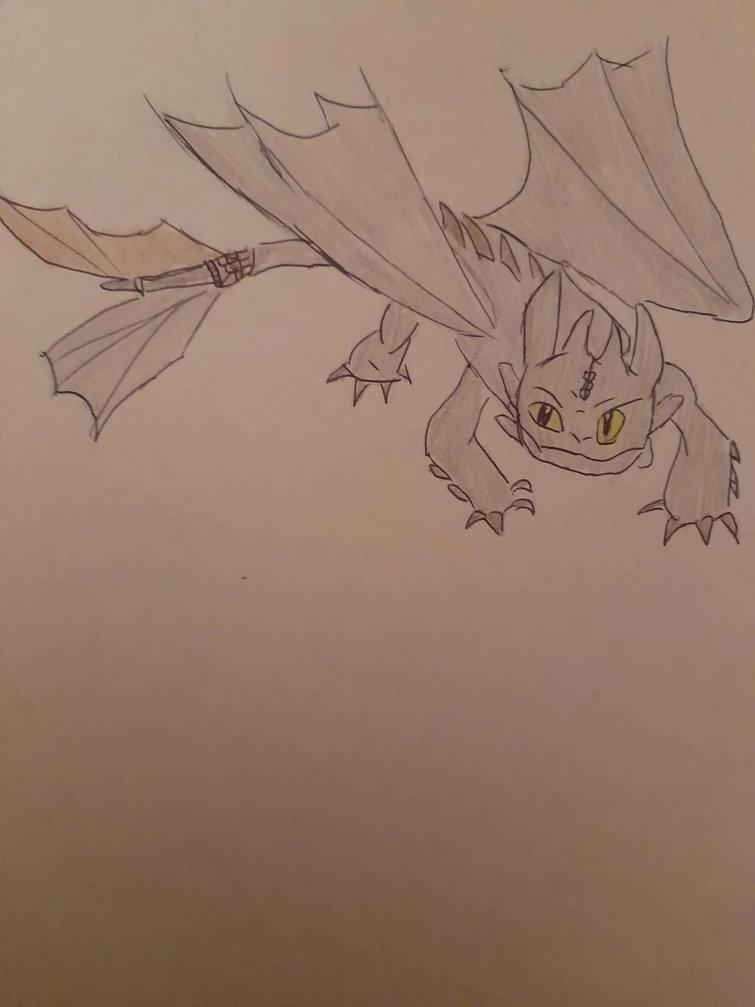 Toothless Art | Fandom
