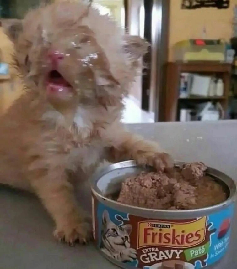 OKAY GANGALANG I NEED HELP | Fandom