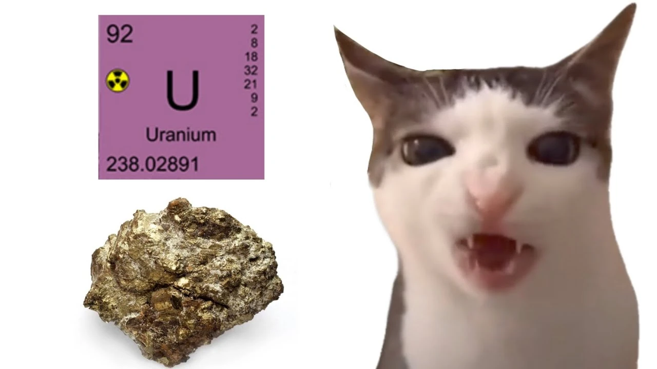 should i disown him? | Fandom