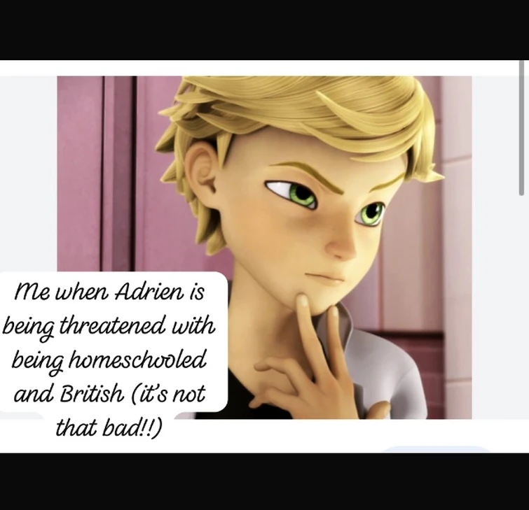 Come on Adrien… it’s not that bad 😉 (meme) | Fandom