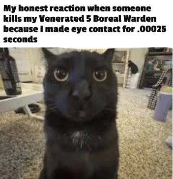 SCP-096 ahh kossers | Fandom