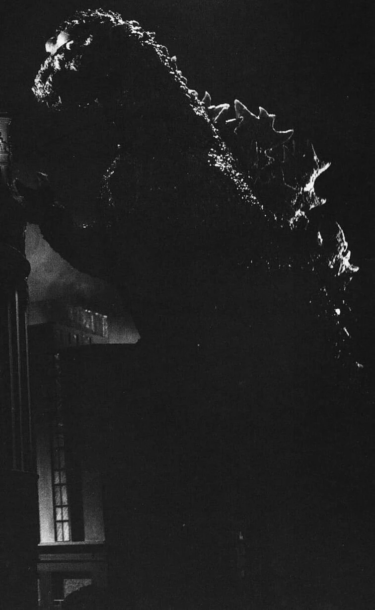 I only like both older Godzilla films from Toho and the MonsterVerse ...