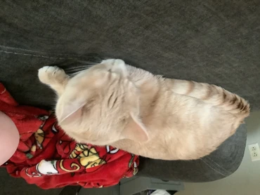 Discuss Everything About Grounded Wiki | Fandom