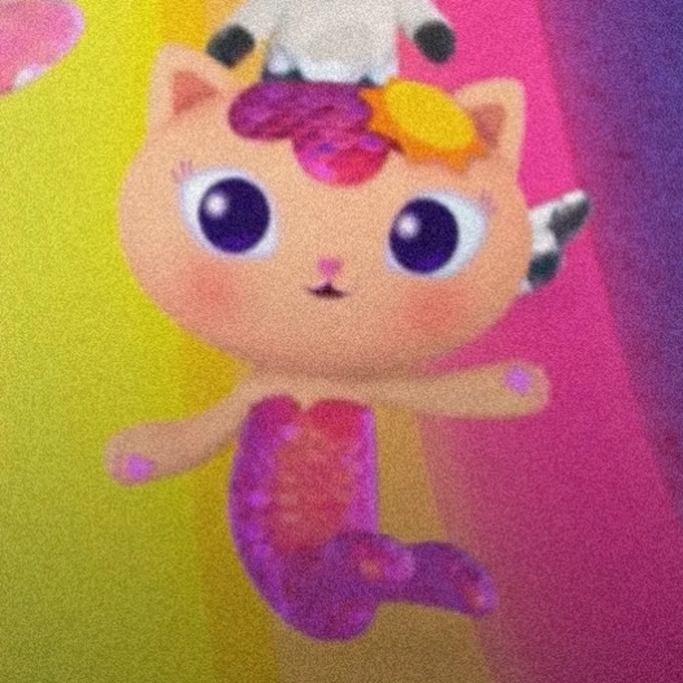 SunnyCat Icons | Fandom