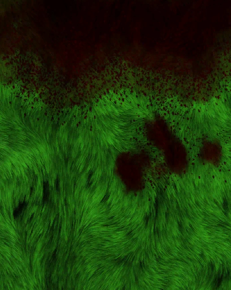 Discuss Everything About Slendytubbies: They're Coming Wiki | Fandom