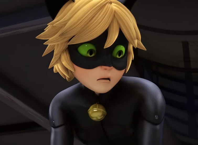 Cat Noir being adorable | Fandom
