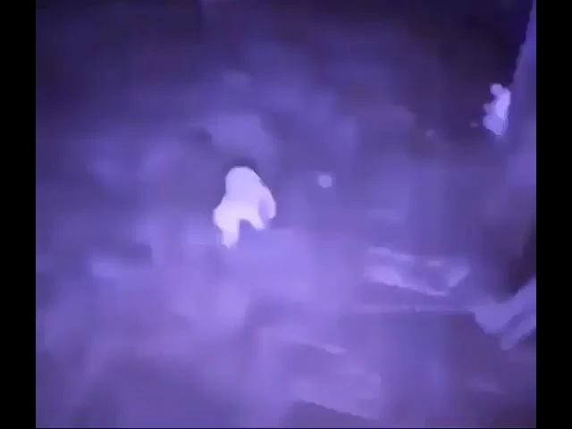 glagglepedia mfs on their way to rejoin to the wiki after "quitting ...