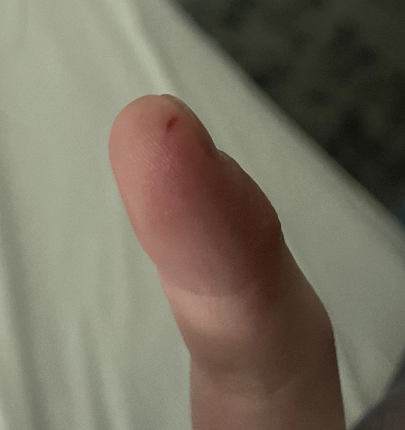 HELP IM SCARED | Fandom